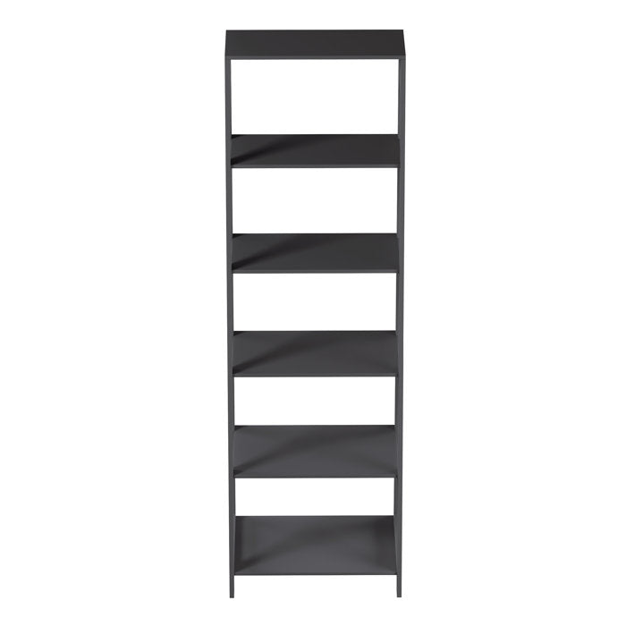 Flythe Ladder Bookcase – Salvage & Co Fishers