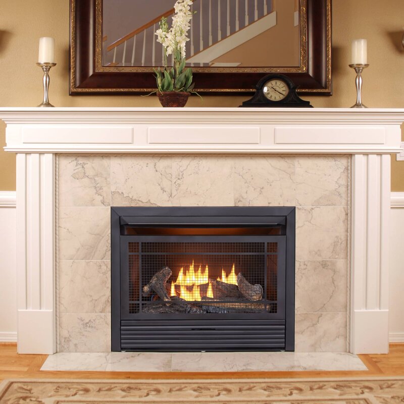propane fireplace insert with blower
